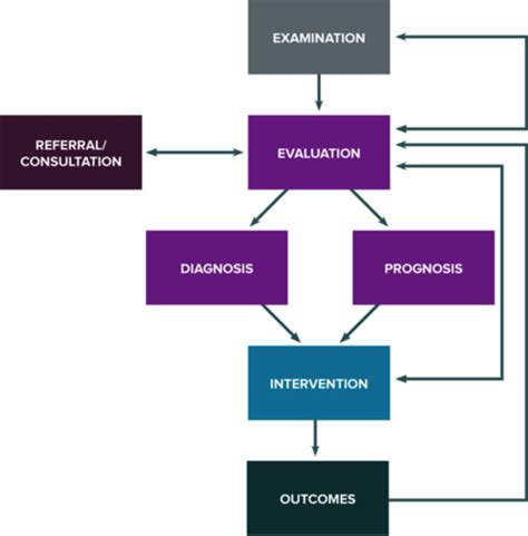 clinical reasoning models w icf focus flashcards quizlet