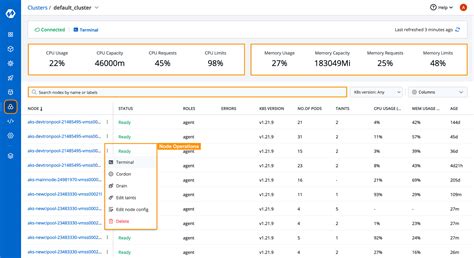Managing Kubernetes Clusters With Cluster Terminal Access