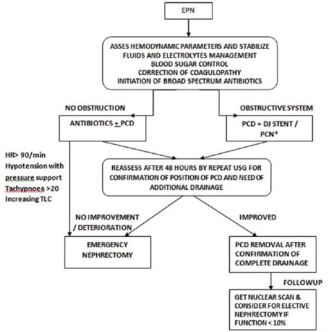 Emphysematous Pyelonephritis Does A Standard Management Algorithm And