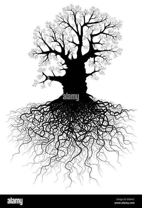 Editable Vector Illustration Of A Leafless Oak Tree With Root System Stock Vector Image Art