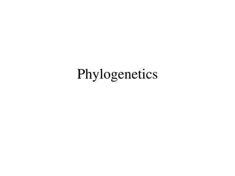 PPT Phylogenetics Methods Analysis Trees PowerPoint Presentation ID