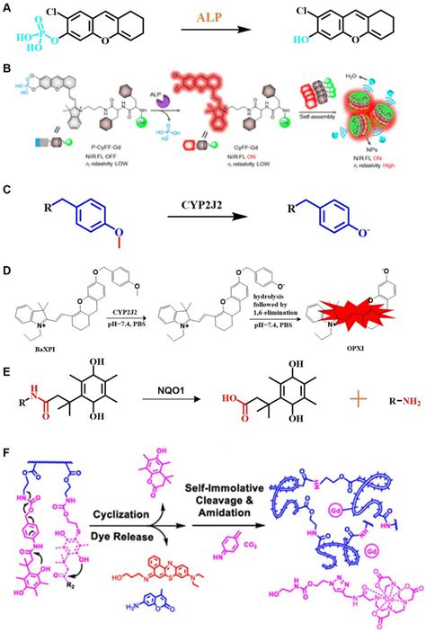 A Schematic Illustration Of The Stimulation Response Mechanism Of ALP Download Scientific