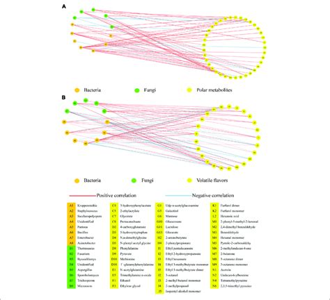 Network Analysis Of The Interactions Among Microbiota Polar