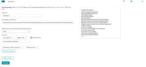 process group naming — dynatrace docs