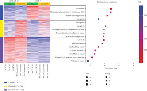 differential expression and heat map hierarchical clustering analysis