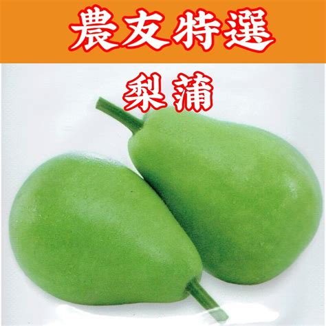 【超熱銷】梨蒲 Bottle Bourdsv 335 台語蒲仔 蒲瓜 【農友種苗】特選 蔬菜 種子 每包約10粒 蝦皮購物