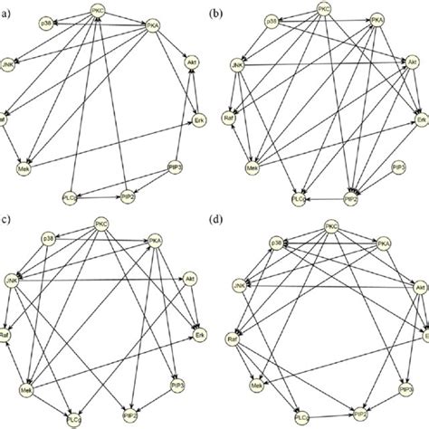 Comparison Of Three Bayesian Network Models On Sachs Et Al S Data A Download Scientific