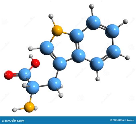 3d Image Of Tryptophan Skeletal Formula Stock Illustration