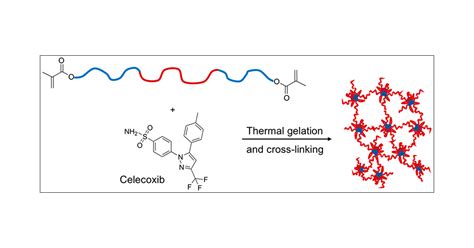 Thermoresponsive And Covalently Cross Linkable Hydrogels For Intra Articular Drug Delivery Acs