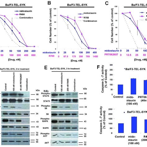 Schematic Representation Of The Flt3 Receptor Kinase Domains With Point