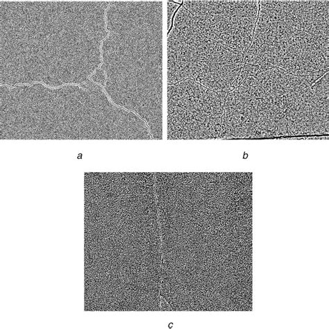 results of otsu method on differential images download scientific diagram