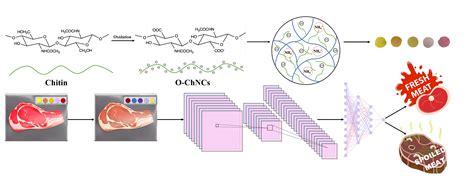 Oxidized Chitin Nanocrystals Enhanced Colorimetric Sensor Array For Accurate Monitoring Of Beef