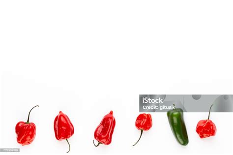 하얀 배경에 허브 잎과 칠리 페퍼를 향신료 야채 패턴입니다 흰색 배경에 꽃과 야채 상단보기 평평한 누워 독일에 대한 스톡 사진 및 기타 이미지 Istock