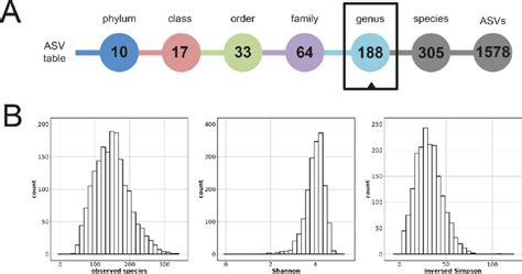 microbiome characteristics characteristics of the stool microbiome