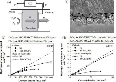 A Operating Principle Of Steam Electrolysis Cells Based On Download Scientific Diagram
