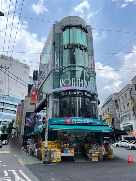 보그헤어 홍대점 Li Ha 디자이너님 여름 유행 레드오렌지 컬러 염색 홍대미용실 네이버 블로그