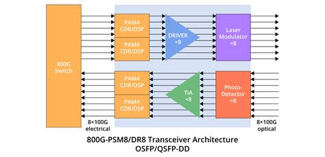 Demystifying 800g Transceiver Types Applications And Faqs