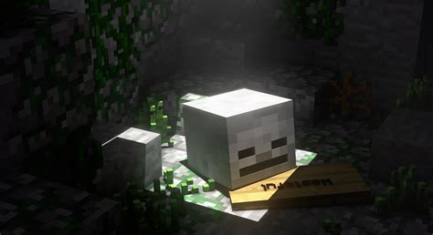 Minecraft Skeleton Head Pattern