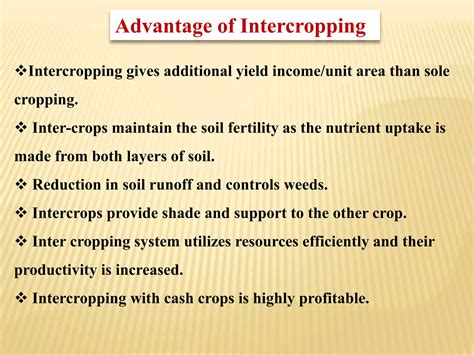 Intercropping In Fruit Crops Pptx Agriculture Industries