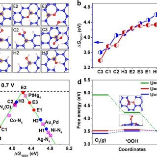 A The Carbon Configurations With Various Oxygen Functional Groups At Download Scientific