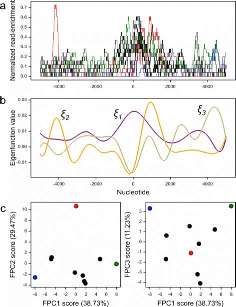 Basic Procedure Of The Functional Data Analysis A Ten Observations