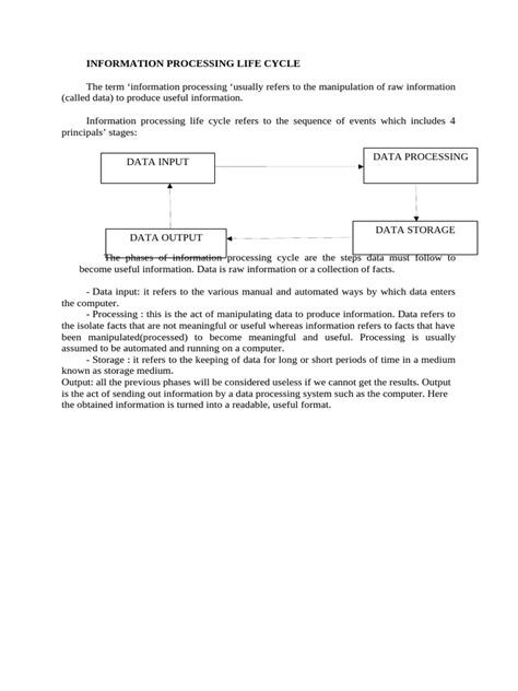 Information Processing Life Cycle Pdf Business Computers
