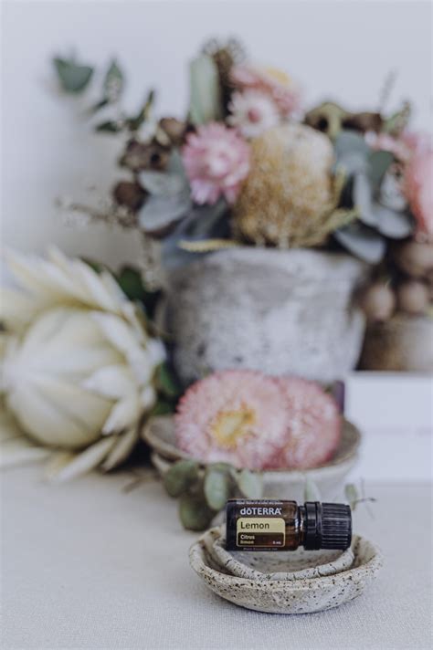 The Native Introductory Kit Gallery Essential Oil Images And Graphics Membership