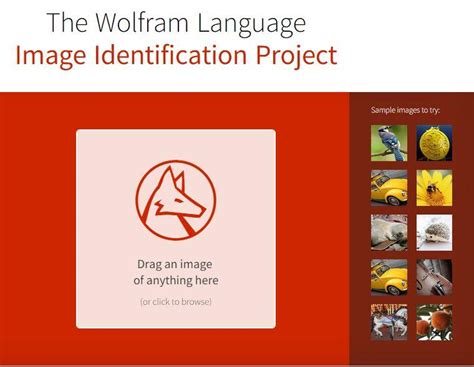Image Identification Project Wolfram Alpha Know Your Meme