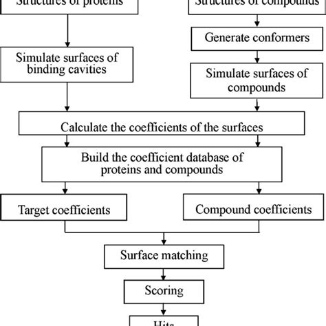 The Flowchart To Build A Shef Spherical Harmonic Coefficient Filter