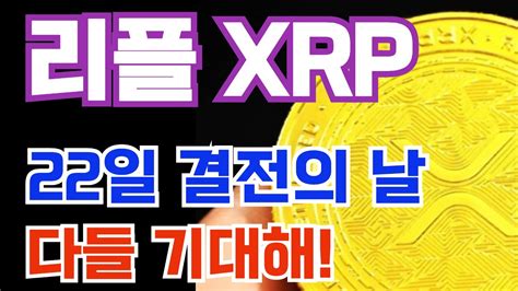 리플 Xrp 22일 결전의 날 다들 기대해 Youtube