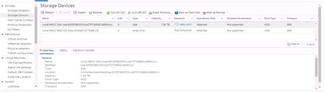 How To Get Information About Physical Hdds Vmware Vsphere