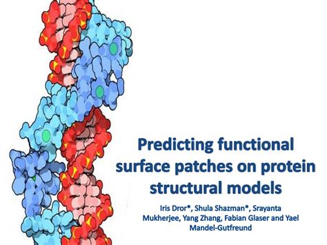 Ppt Predicting Functional Surface Patches On Protein Structural