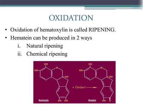 Hematoxylin And Eosin Staining Pptx