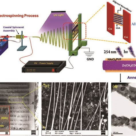 A Schematic Representation Of On Chip Fabrication Of Aligned Zno Gni Download Scientific