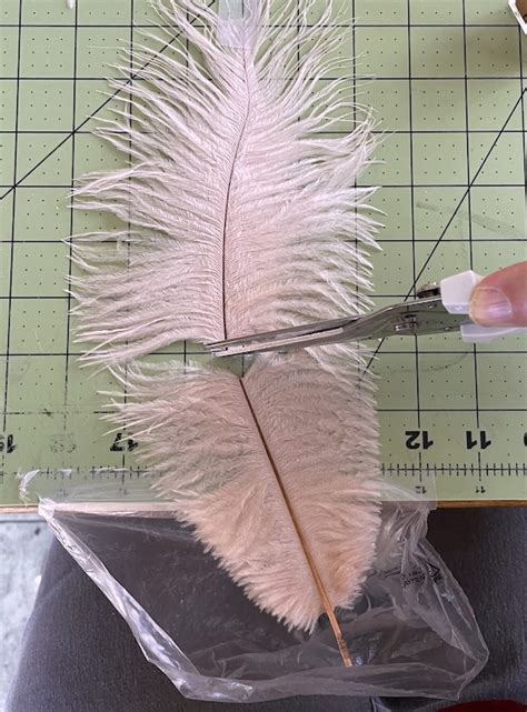 Feather Fan How To Out Of A Portrait