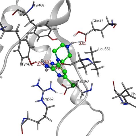 3 Dimensional Interaction Diagram Of The Most Potent Compound 24 Download Scientific Diagram