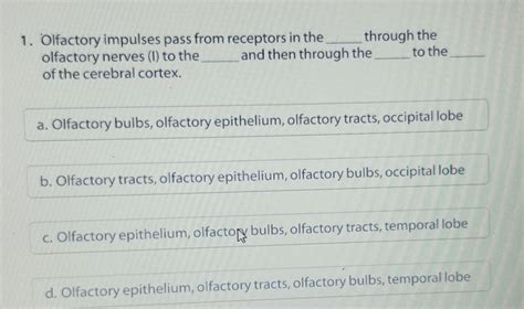 Solved Olfactory Impulses Pass From Receptors In The Q