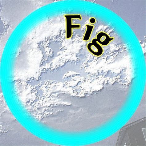 Fig Youtube