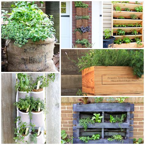 Creative Diy Herb Garden Ideas For Urban Spaces