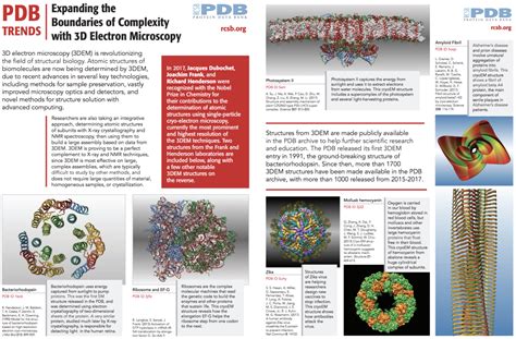 PDB PDB Trends Expanding Boundaries Of Complexity With DEM