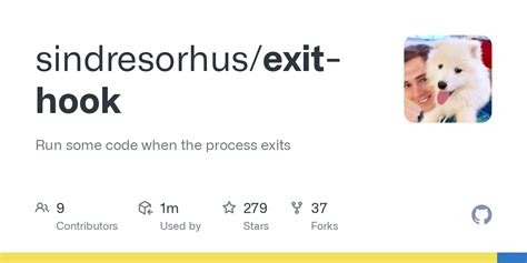 Issues · Sindresorhusexit Hook · Github
