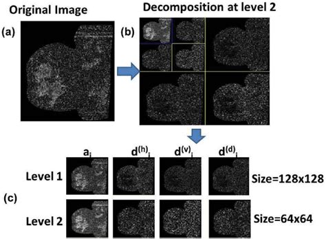 Multiresolution Methods Applied To A Diffusion Weighted Image B