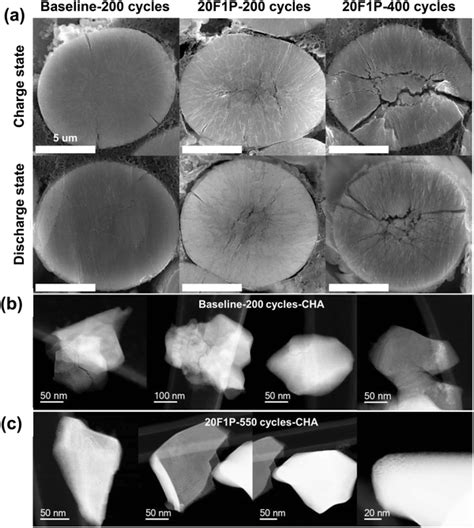 Secondary And Primary Particle Cracking Behaviors Of Cycled Lno A Sem Download Scientific