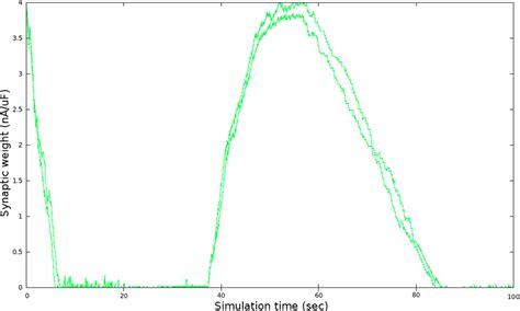 23 Evolution Of The Weights For The Synapse Of Input Neurons 39 And