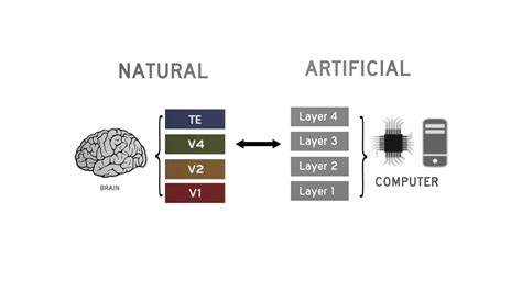 Reverse Engineering The Brain David Cox Open Transcripts