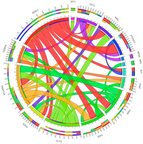 Clinical Outcomes And Co Occurring Mutations In Patients With Runx1 Mutated Acute Myeloid