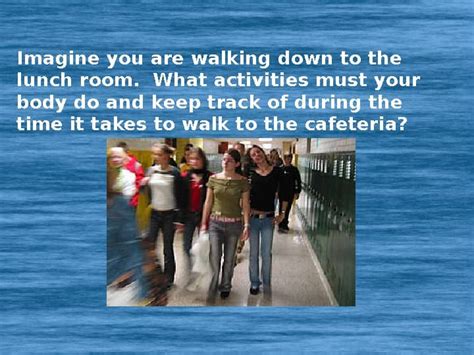 Body Organization Levels Of Complexity Cells Tissues Organs Organ Systems