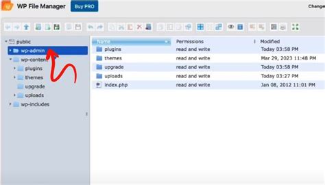 What Is The Root Directory In Wordpress And How To Find It 2024