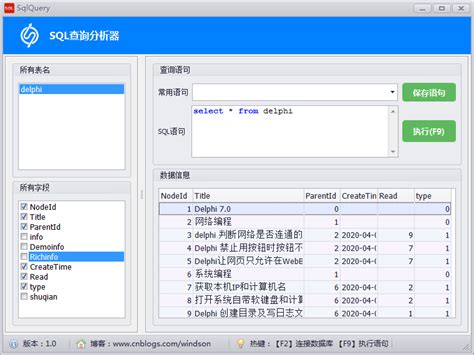 delphi 数据库连接查询分析器 windsonvip 博客园