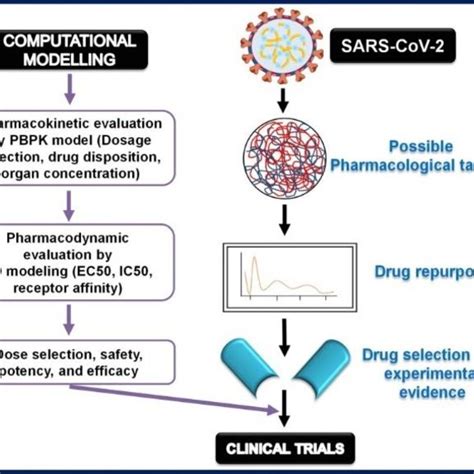 overall pictorial representation of drug selection and computational